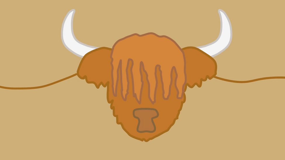 Word waves - 1st level English and Literacy - BBC Bitesize