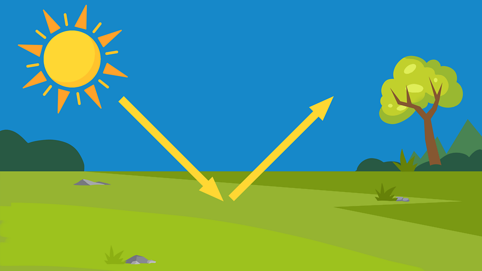 What is reflection? – KS2 Science curriculum - BBC Bitesize