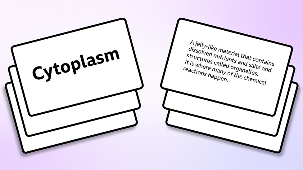 GCSE Biology flashcards - cell biology - BBC Bitesize