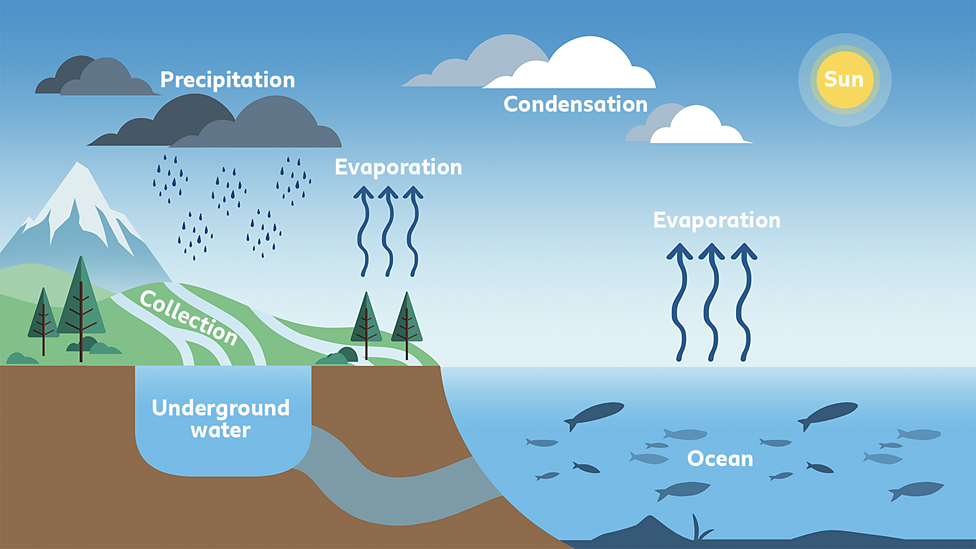 The water cycle – KS2 Science curriculum - BBC Bitesize