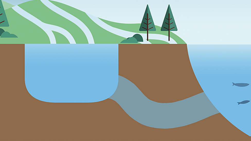 The water cycle – KS2 Science curriculum - BBC Bitesize