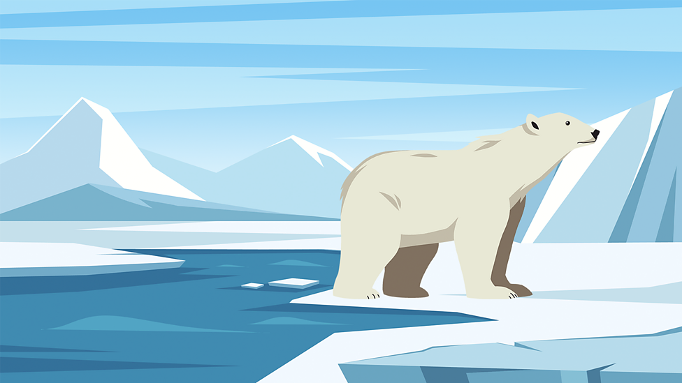 Changing States – KS2 Science curriculum - BBC Bitesize