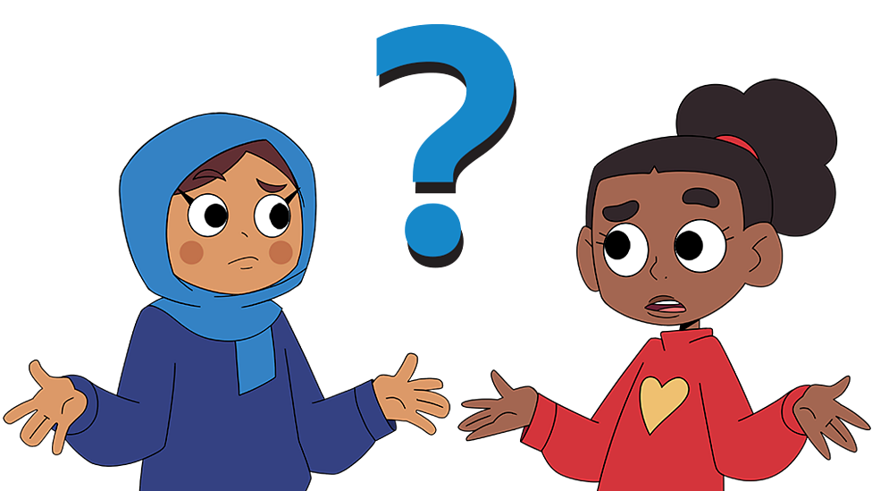 Asking relevant questions – KS2 Science curriculum - BBC Bitesize