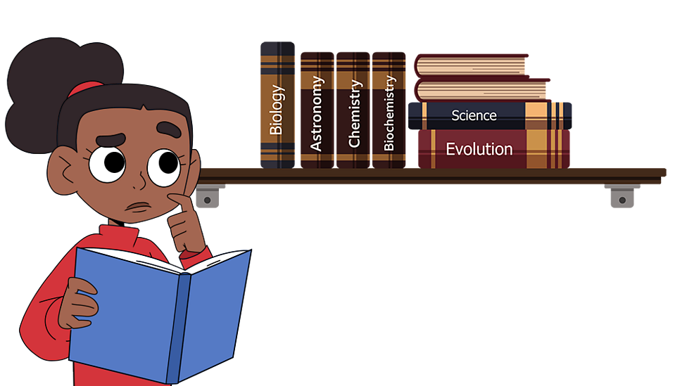 Asking relevant questions – KS2 Science curriculum - BBC Bitesize
