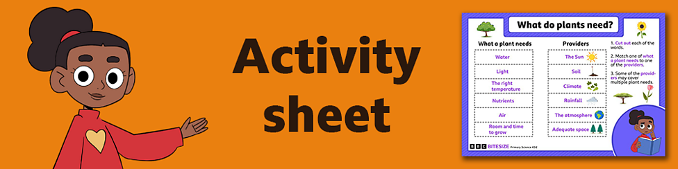 What do a plants need? - KS2 Science curriculum - BBC Bitesize