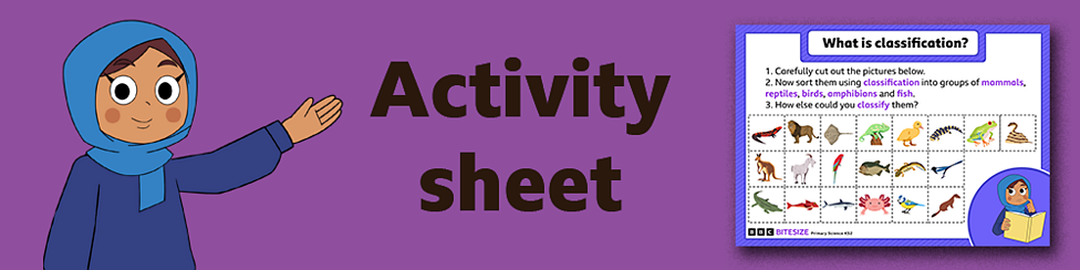 What is classification? – KS2 Science curriculum - BBC Bitesize