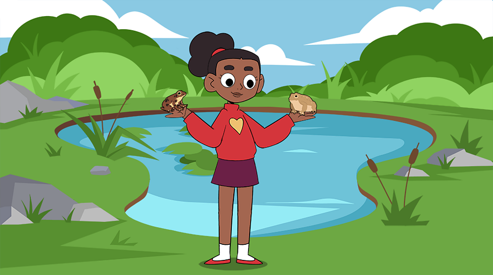 What are classification keys? – KS2 Science curriculum - BBC Bitesize