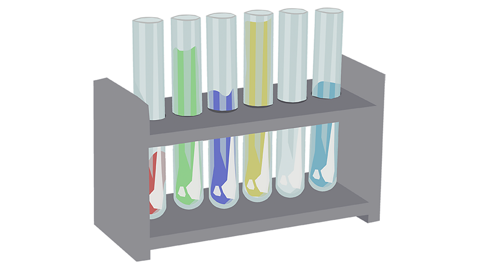 How do scientists write predictions and conclusions? – KS2 Science ...