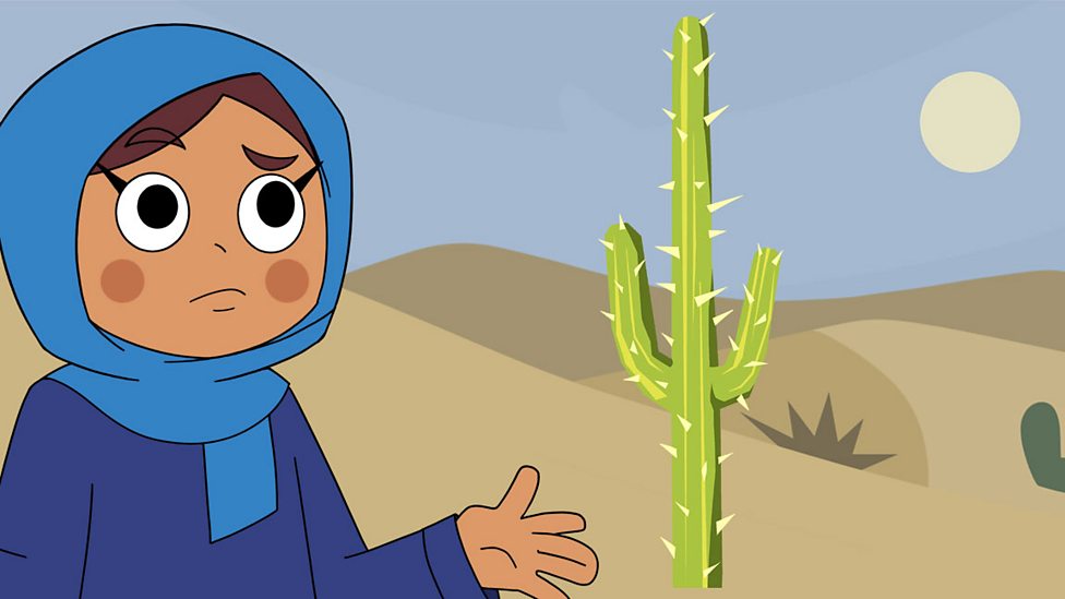 What is adaptation? – KS2 Science curriculum - BBC Bitesize