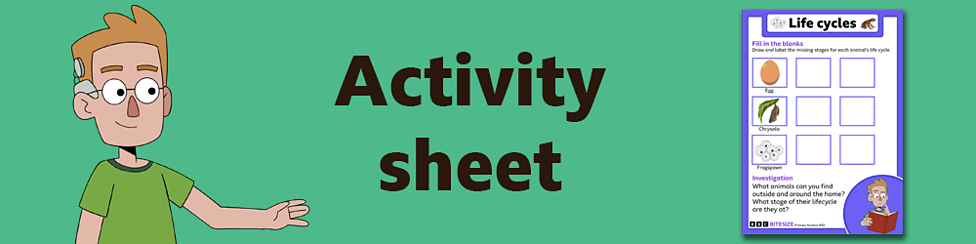 What is a life cycle? – KS2 Science curriculum - BBC Bitesize