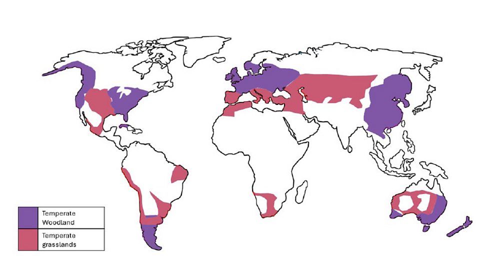 Woodlands and Grasslands. Key Stage 2 Geography. - BBC Teach