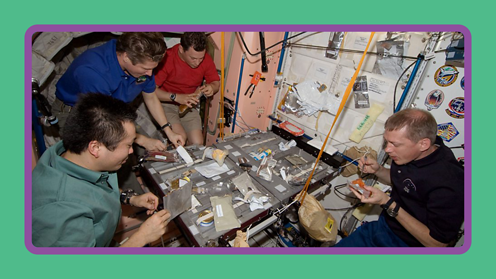 How do astronauts stay alive in space? – KS2 Science curriculum - BBC ...