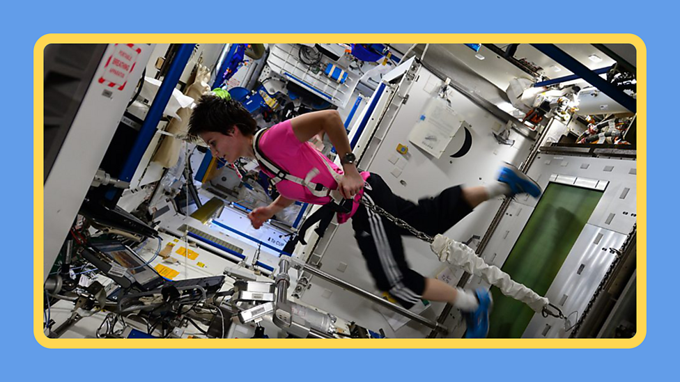 How do astronauts stay alive in space? – KS2 Science curriculum - BBC ...