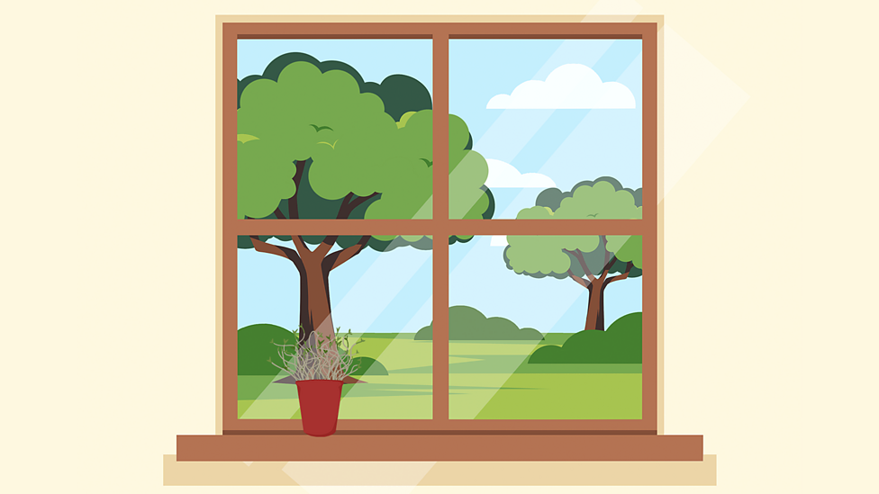 Planning experiments and variables – KS2 Science curriculum - BBC Bitesize