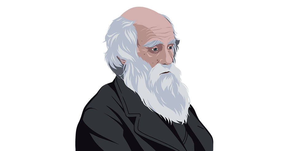 How do scientists use their findings? – KS2 Science curriculum - BBC ...