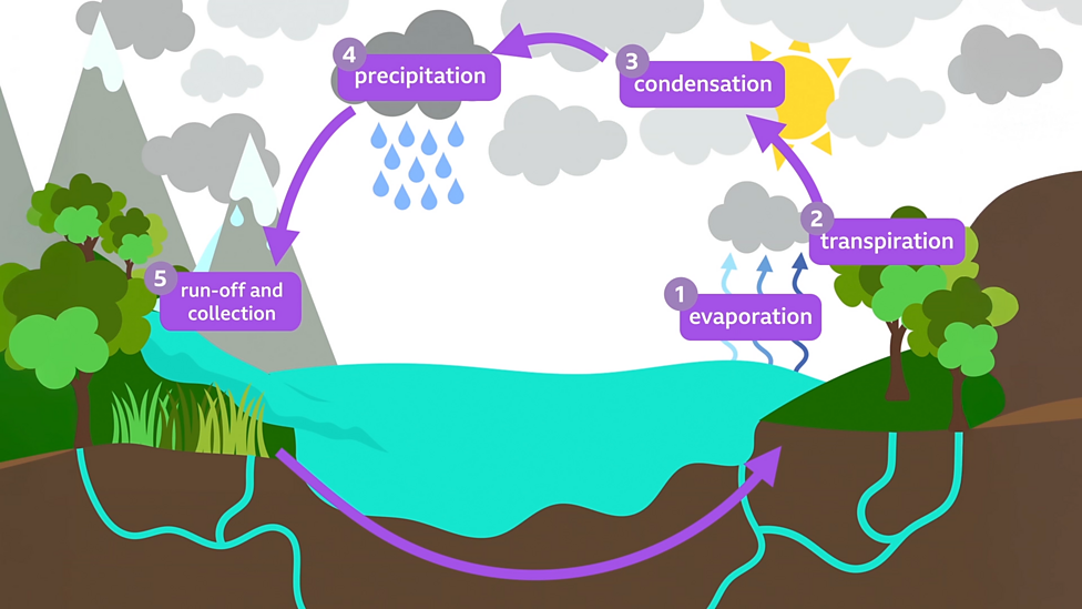 Earth Day 2025 – Live Lesson - BBC Teach