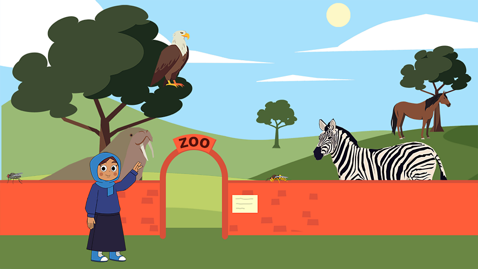 Living things and their habitats - KS2 Science - BBC Bitesize