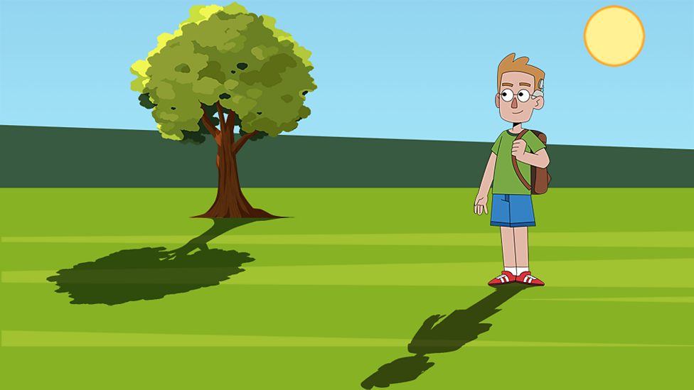 Light - Year 3 Science - BBC Bitesize