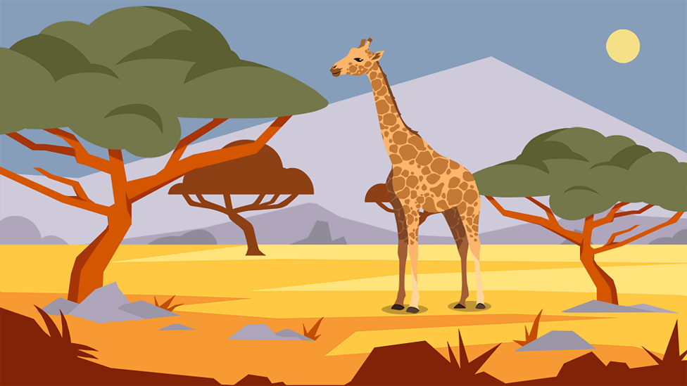 Evolution and inheritance - KS2 Science - BBC Bitesize