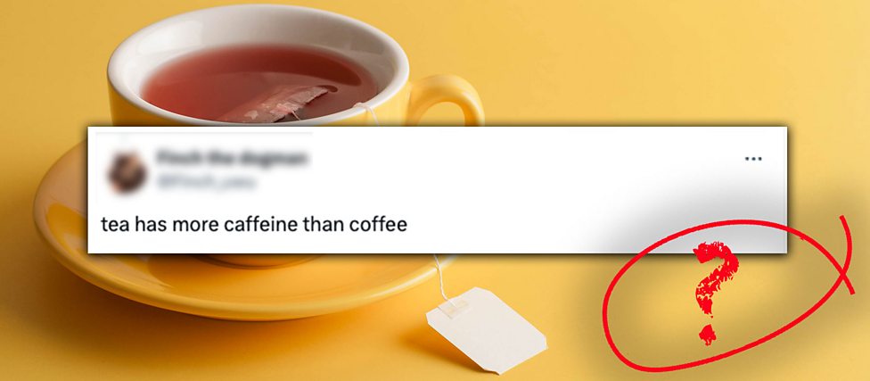 Spilling the tea on the truth about tea - International Tea Day - BBC ...