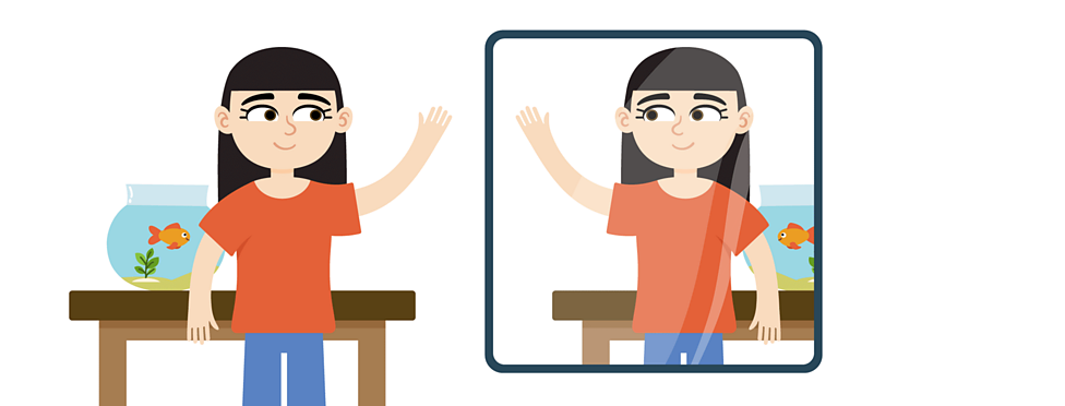 Translation and reflection - KS2 Maths - Year 6 - Learning with BBC ...