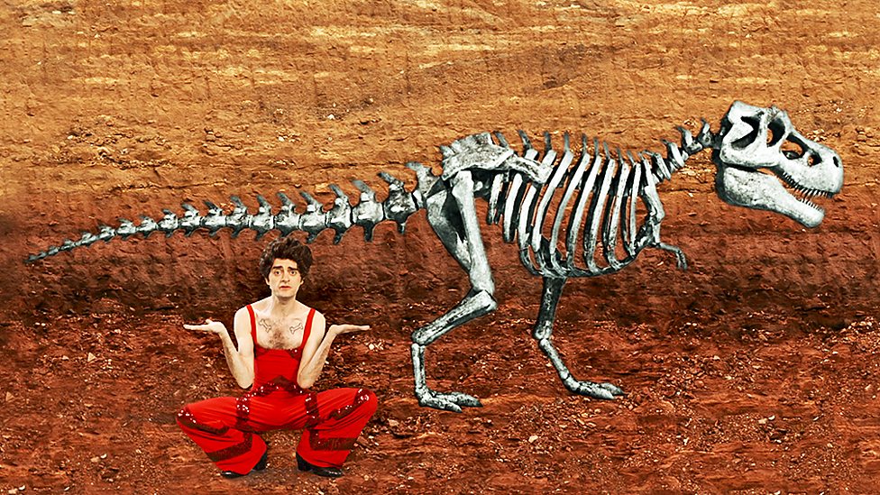 Horrible Science: Fossils - BBC Bitesize