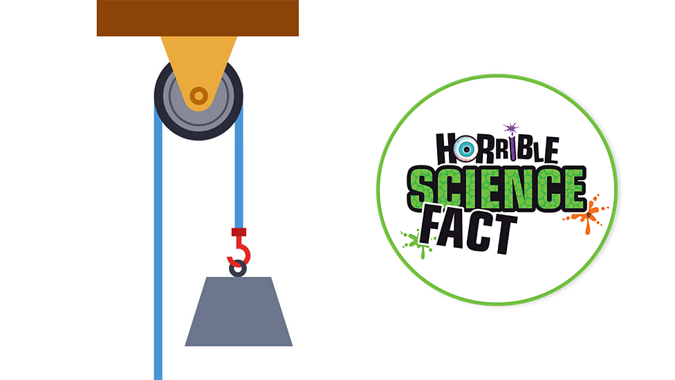 Mr Simpling's Museum Of Marvellous Machines – Horrible Science Bitesize ...