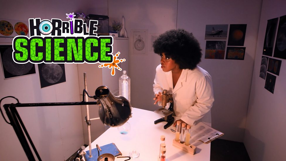 Horrible Science - KS2 Science - BBC Bitesize