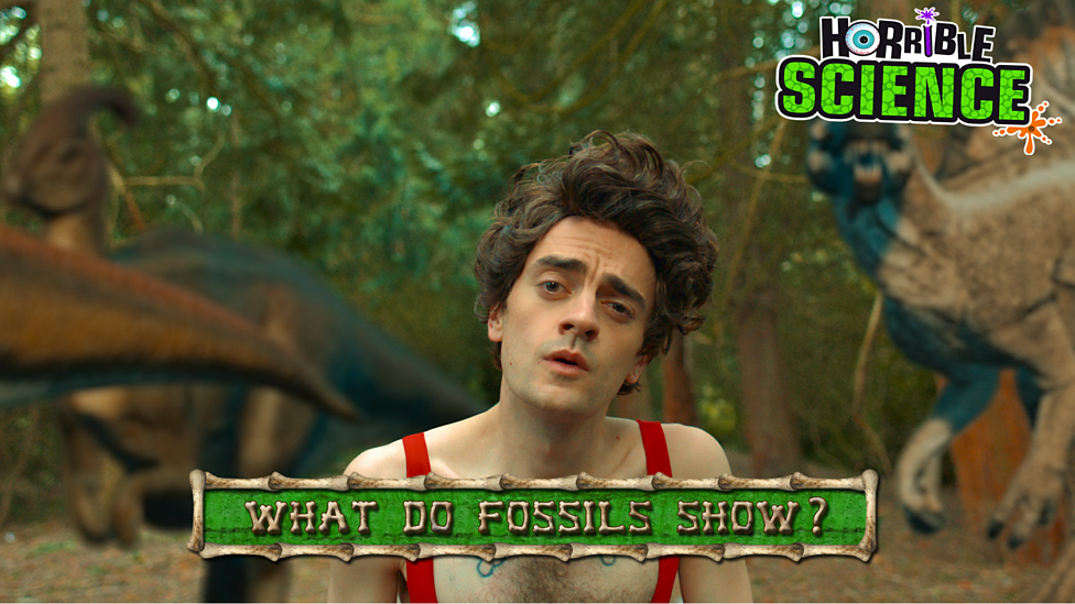 Horrible Science - KS2 Science - BBC Bitesize