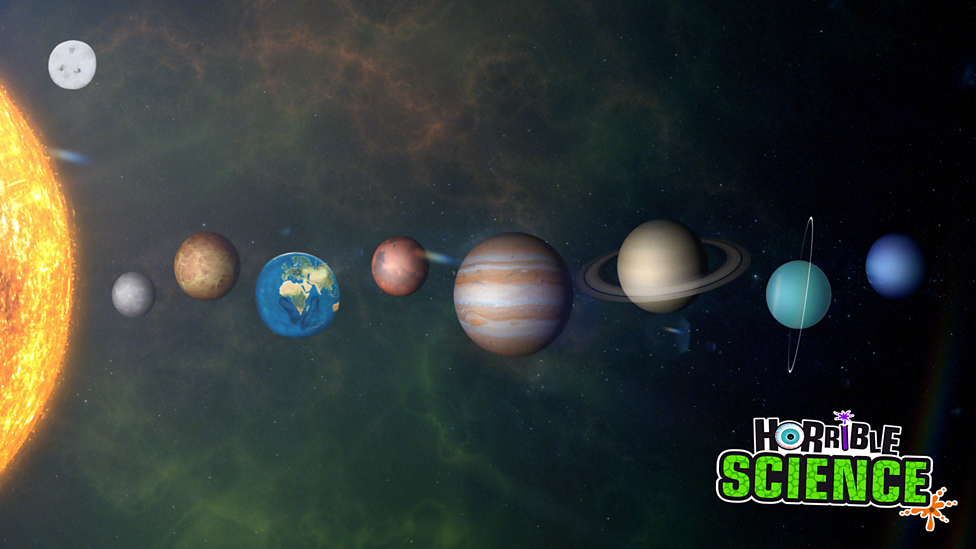 Horrible Science - KS2 Science - BBC Bitesize