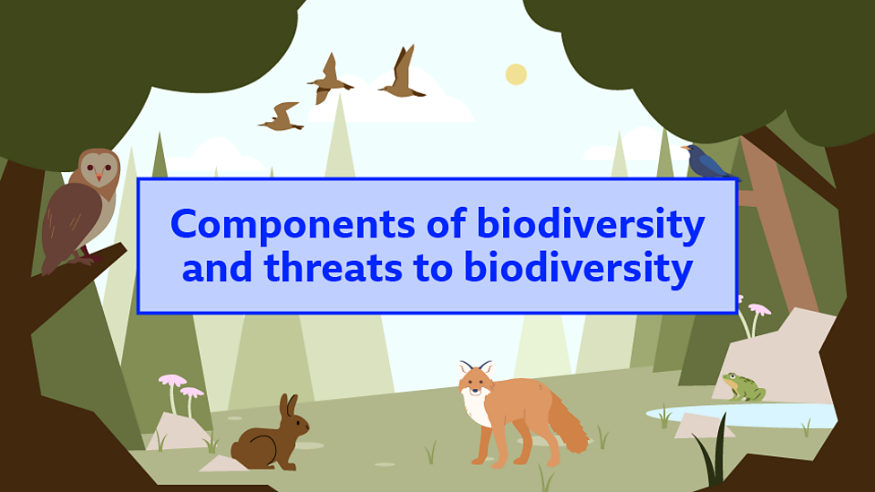 Quizzes - Higher Biology - BBC Bitesize