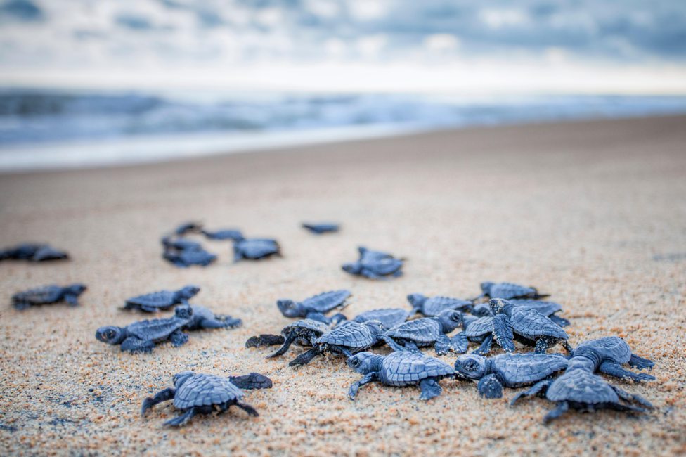 Jackie Kay poetry - Gap Year - National 5 English Revision - BBC ...