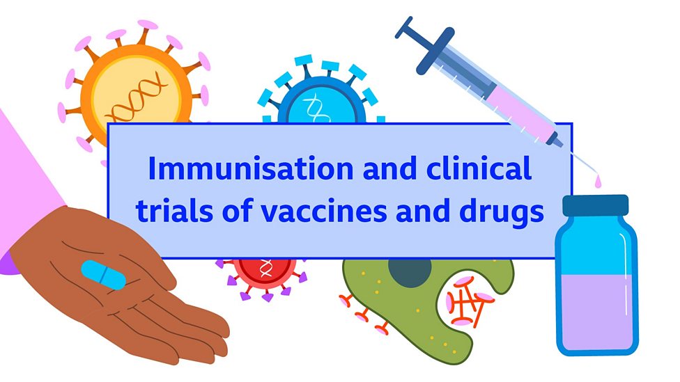 Quizzes - Higher Human Biology - Higher Human Biology - BBC Bitesize