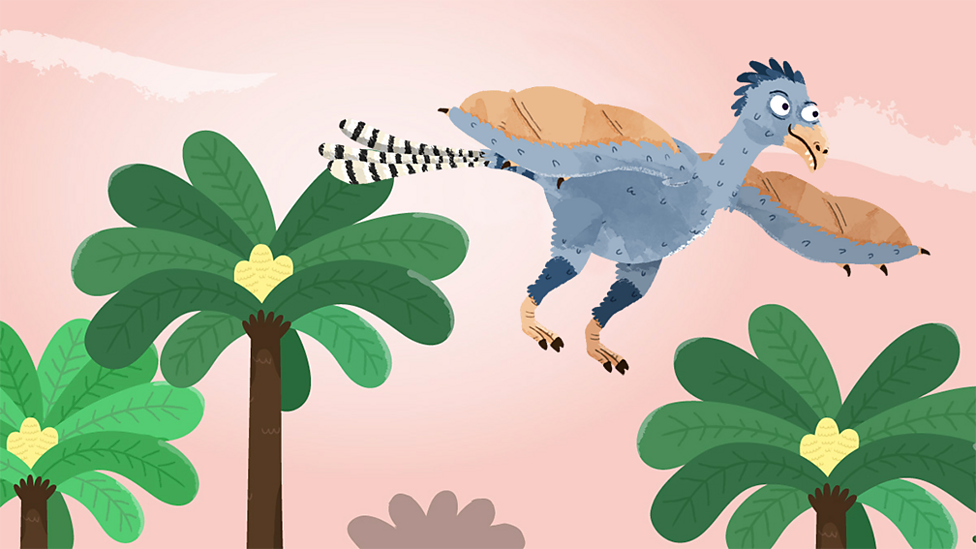 Dinosaurs | KS1 Topic | Ages 5-7 - BBC Bitesize