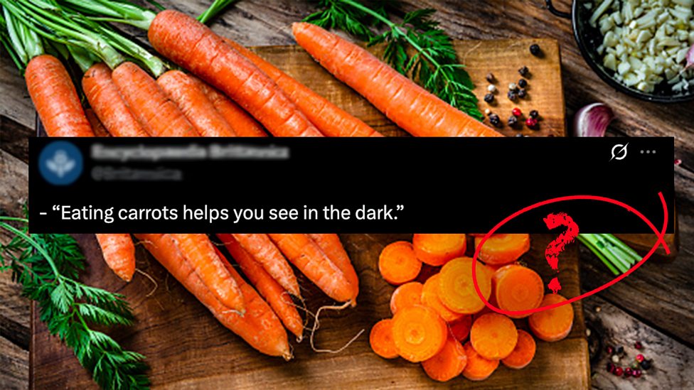 Do carrots help you see at night? The truth behind popular food myths ...