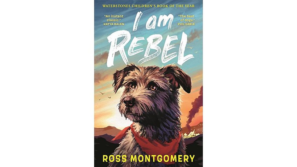 Bitesize Recommends: Five books for reluctant readers - BBC Bitesize
