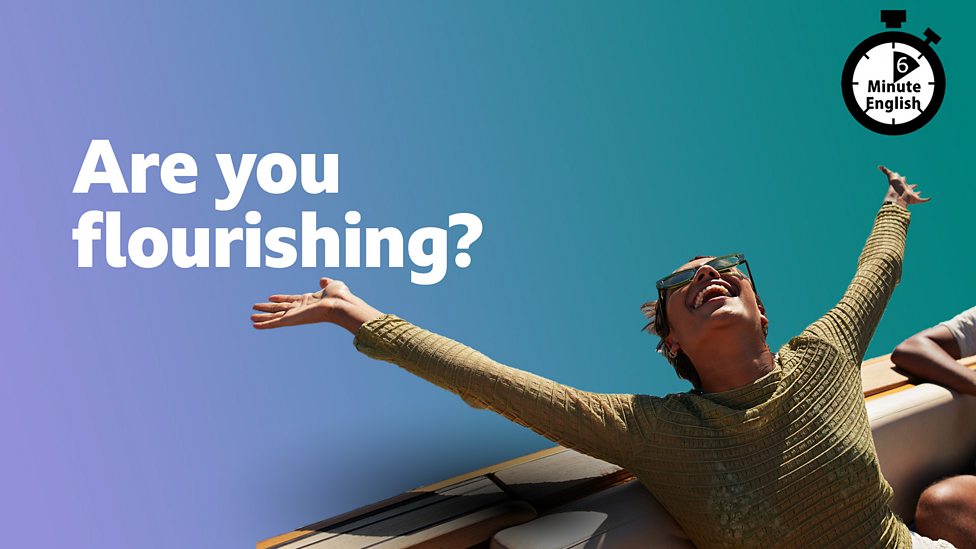 BBC Learning English - 6 Minute English