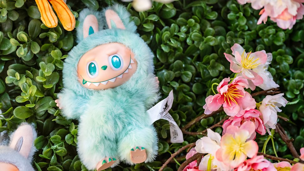 Is your Labubu fake? - BBC Bitesize