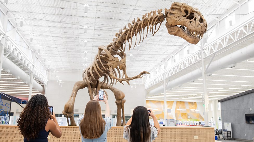 Are scientists going to bring back dinosaurs using their DNA? - BBC ...