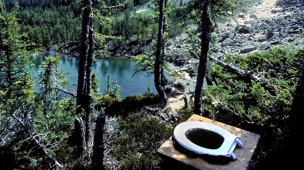 7 strangest toilets in the world you have to see - BBC Bitesize