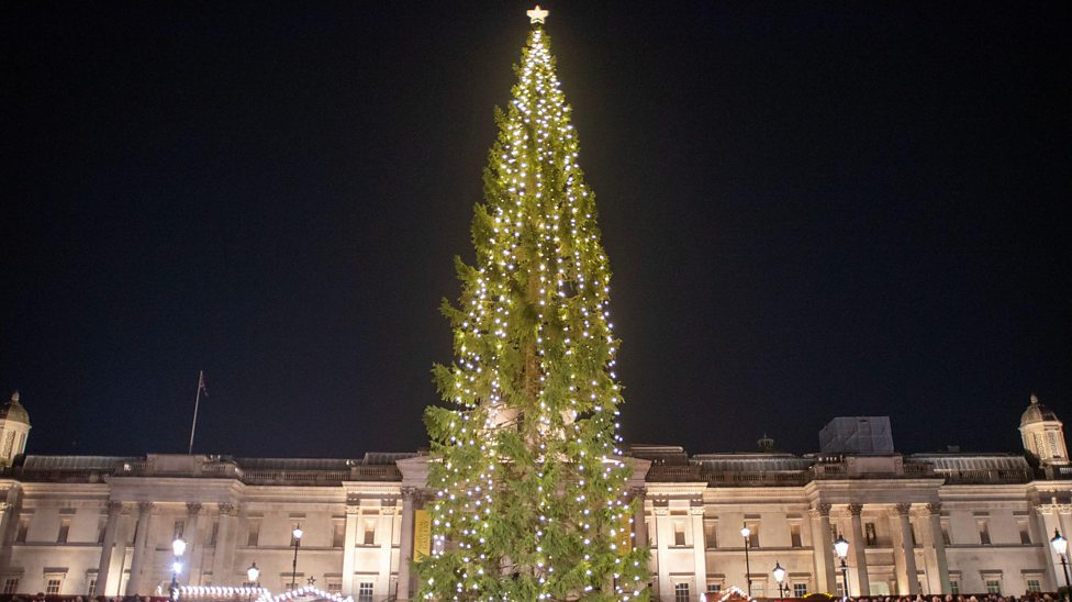 Inspiring Christmas trees around the globe - BBC Bitesize
