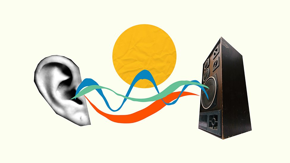 How does vinyl work and does it sound better? - BBC Bitesize