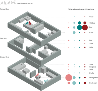 Cat Watch 2014: The 21st Century house cat - BBC News