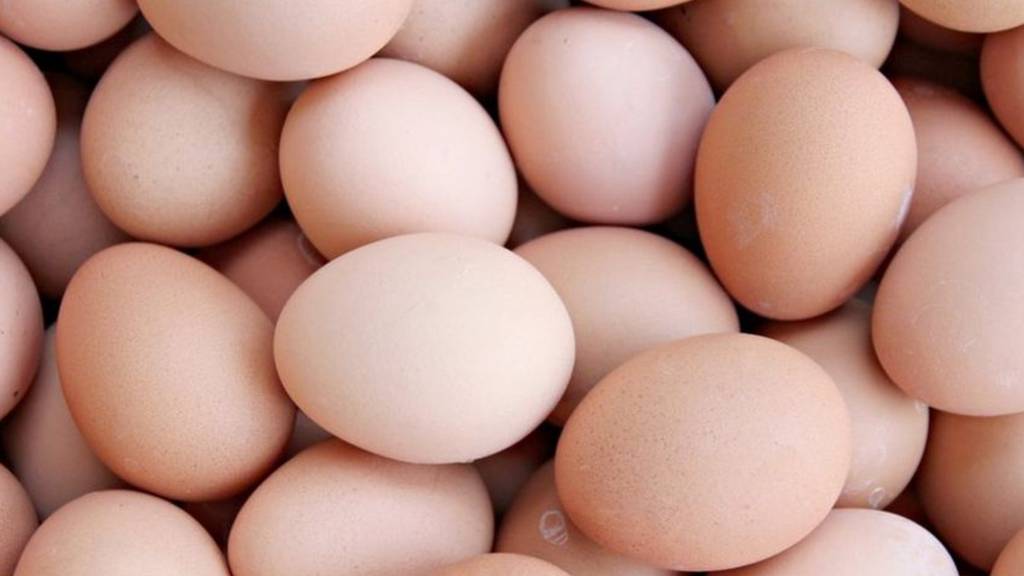 Kwanini wasiokula kuku, mayai wametahadharishwa dhidi ya kupokea chanjo ...