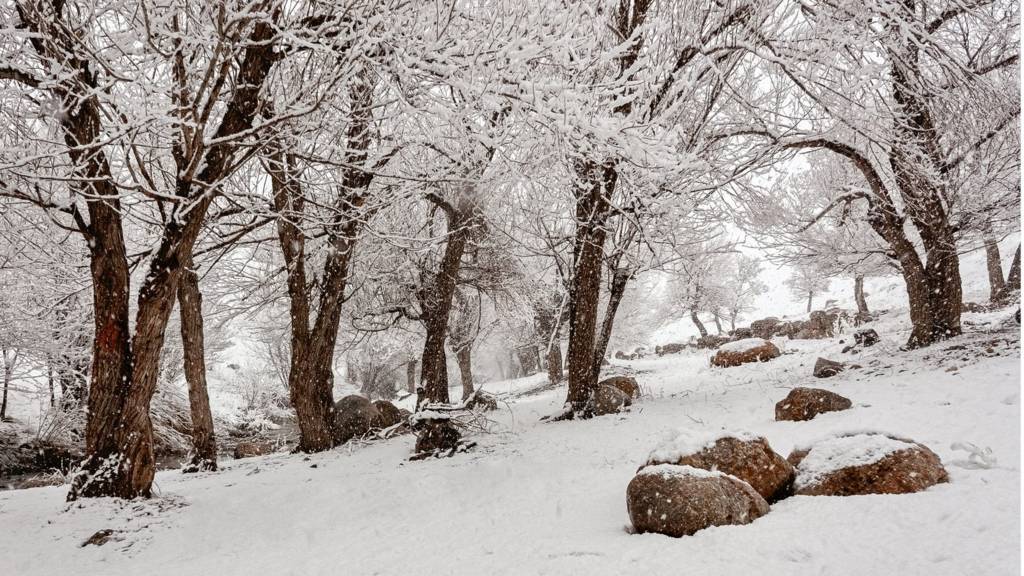ایستگاه خبر؛ سه‌شنبه ۳۰ آبان ۱۴۰۲ برابر با ۲۱ نوامبر ۲۰۲۳ Bbc Persian