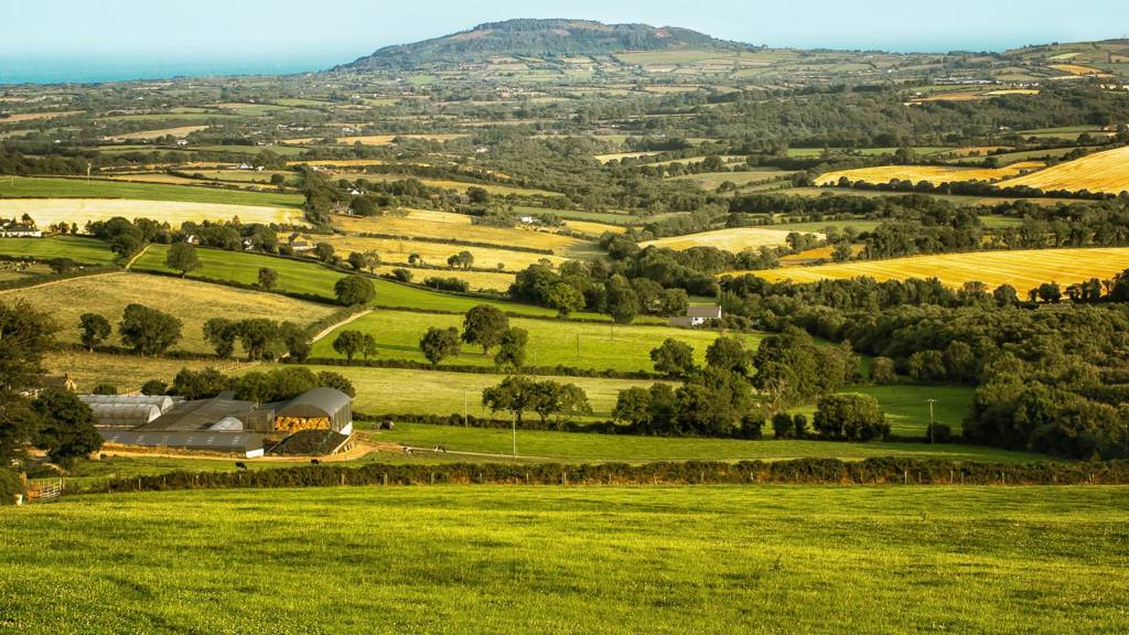 Maxaa kajira in wariye Bushaaro Baanday la gaarsiiyay dhaawacyo ka dib ...