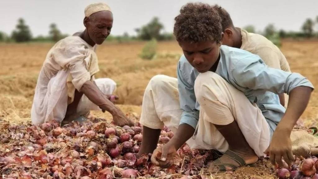 Abubuwan da ke faruwa a Najeriya da sauran sassan duniya... - BBC Hausa