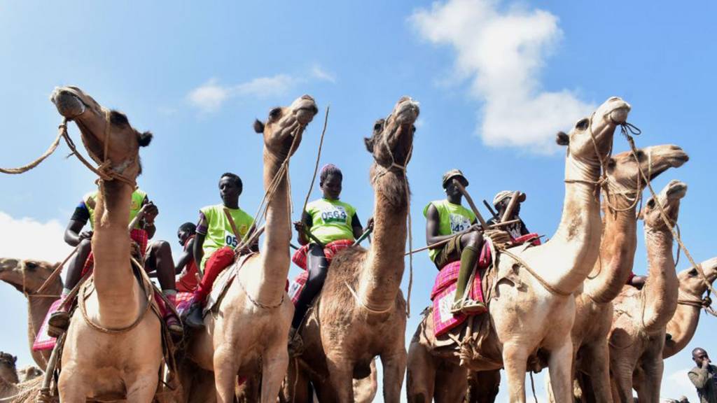 DR Congo bans opposition leader from presidential race - BBC News