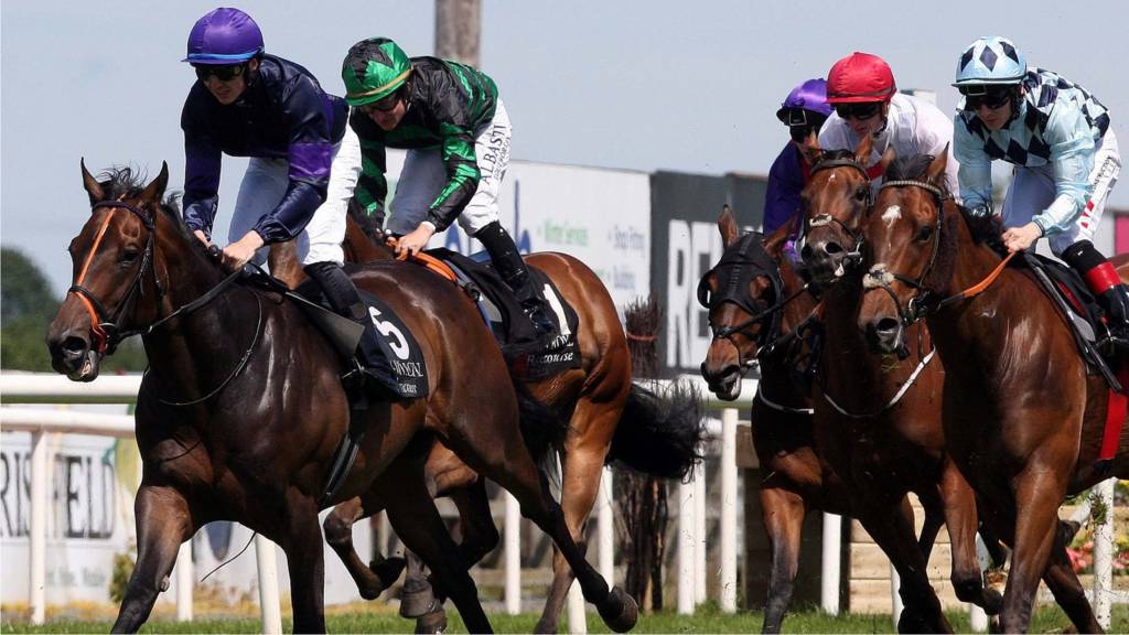 Watch: Ulster Derby at Down Royal - Live - BBC Sport
