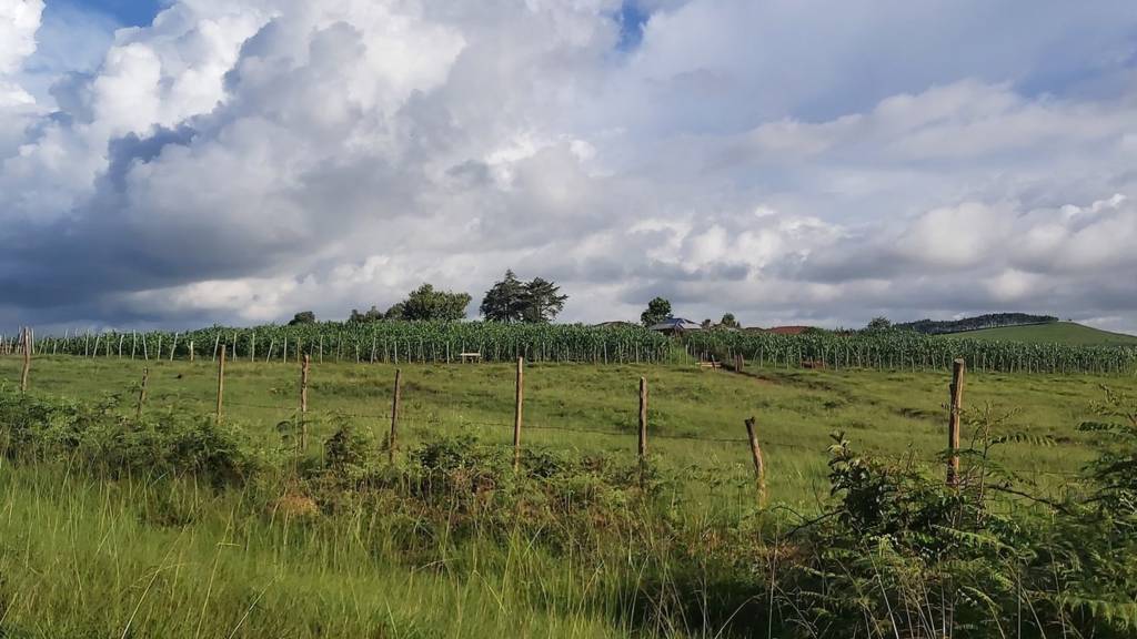 Abubuwan da ke faruwa a Najeriya da sauran sassan duniya... - BBC Hausa